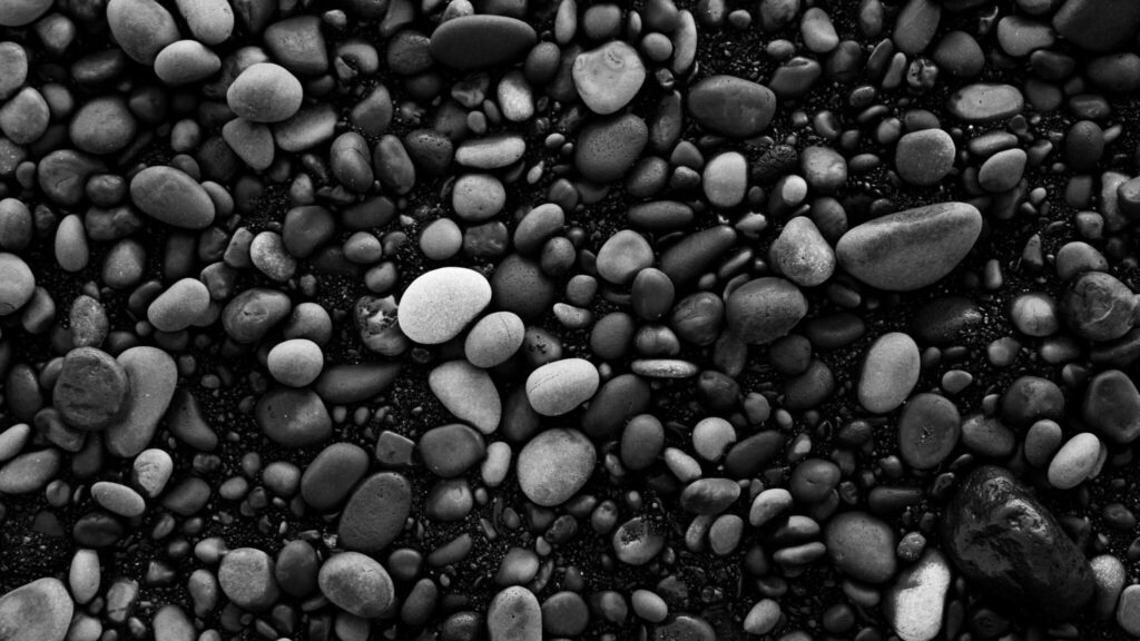 Approach to Sustainability - Harding Loevner